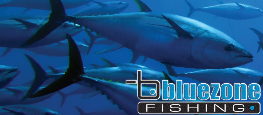 Bluezone Fishing – Tel: 01752 881 988